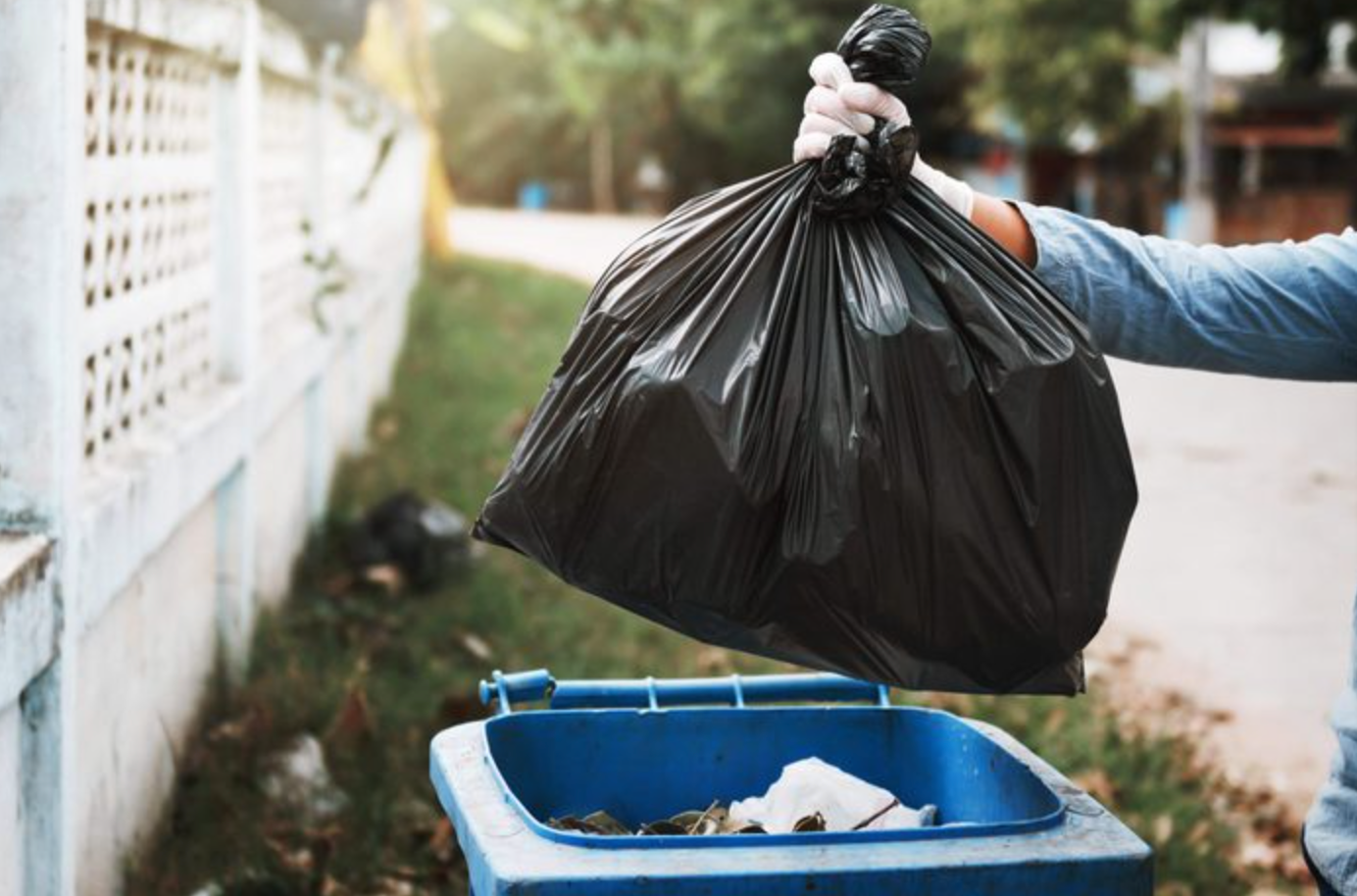 Waste Management In Palm Harbor | Tote Enterprises | Trash Pick Up